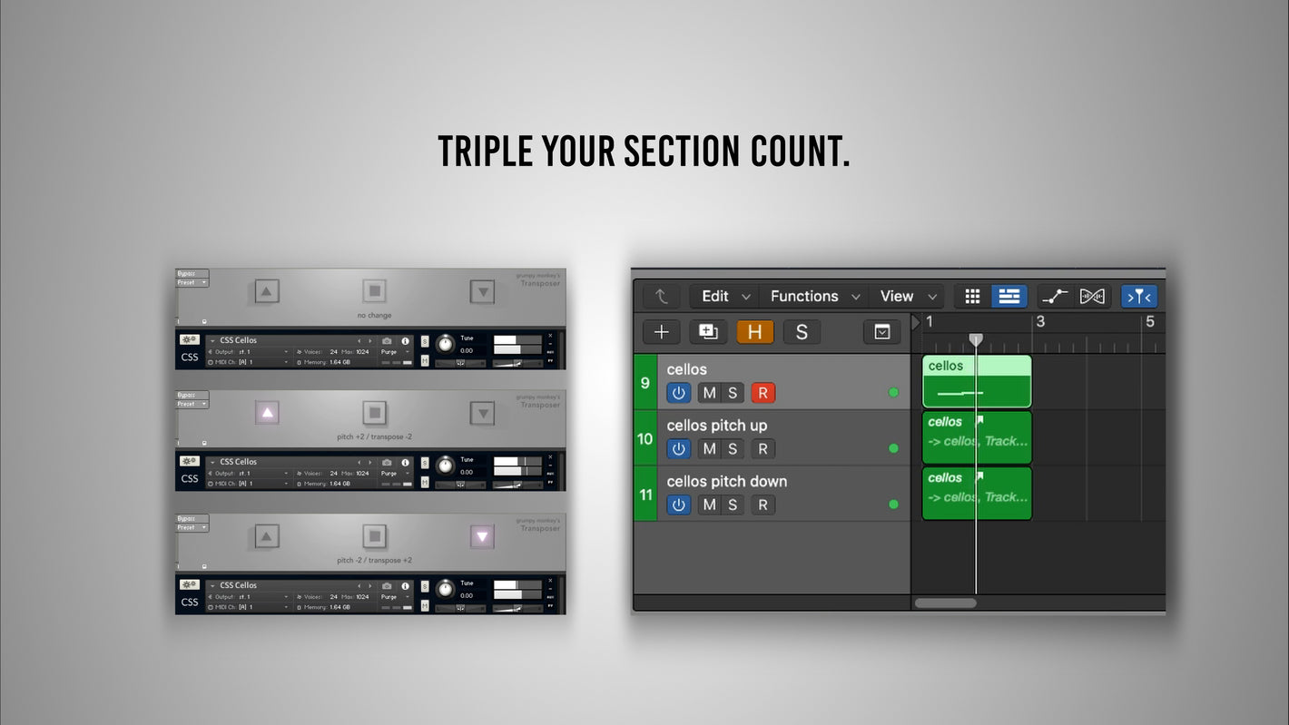 Transposer Kontakt Multiscript – grumpymonkeyplugins